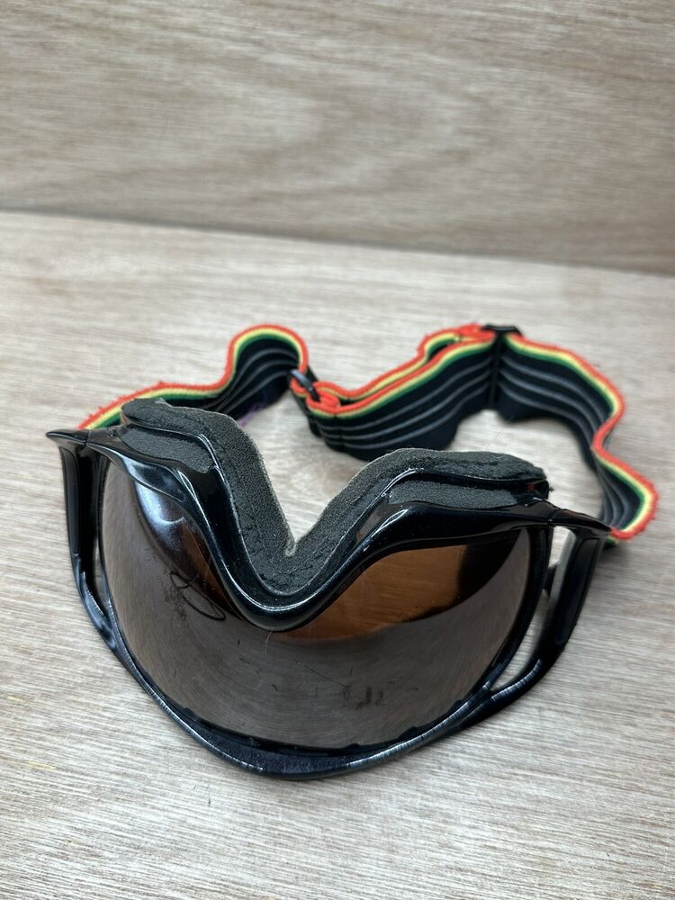 Tanner Hall Oakley Crowbar Signature Series Snow Goggles, Vintage, Lion ...