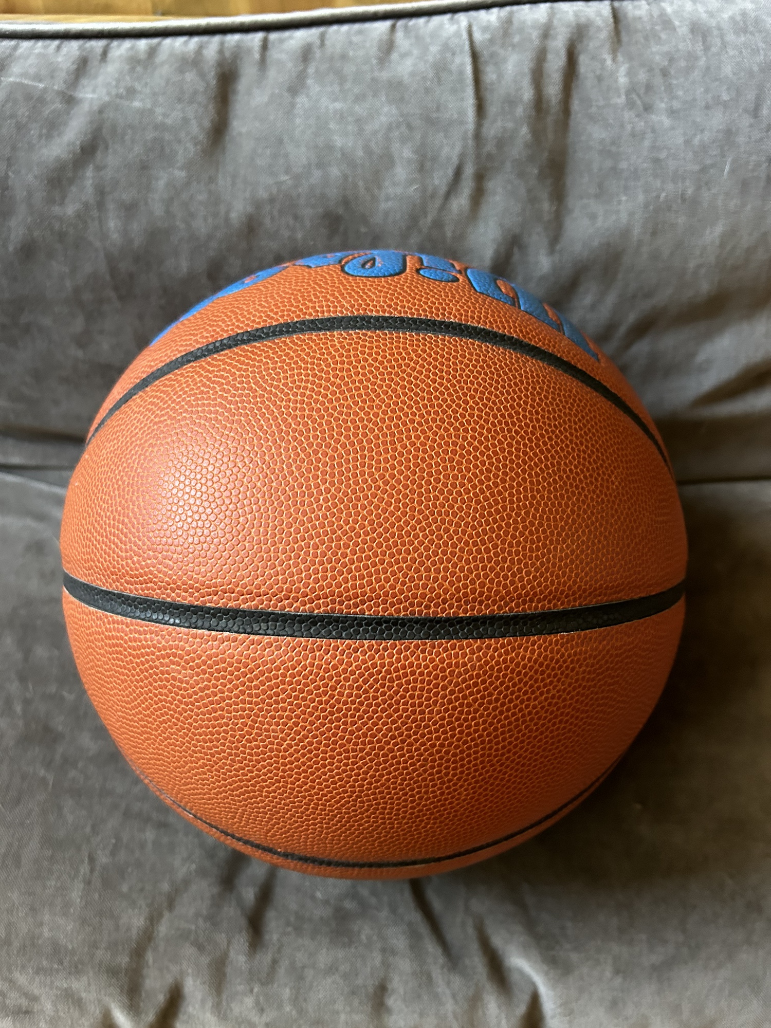 Used Wilson Basketball | SidelineSwap