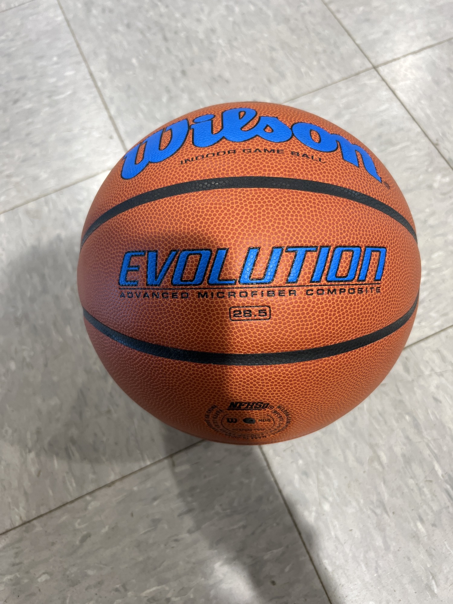 Wilson Evolution Indoor Game Ball | SidelineSwap