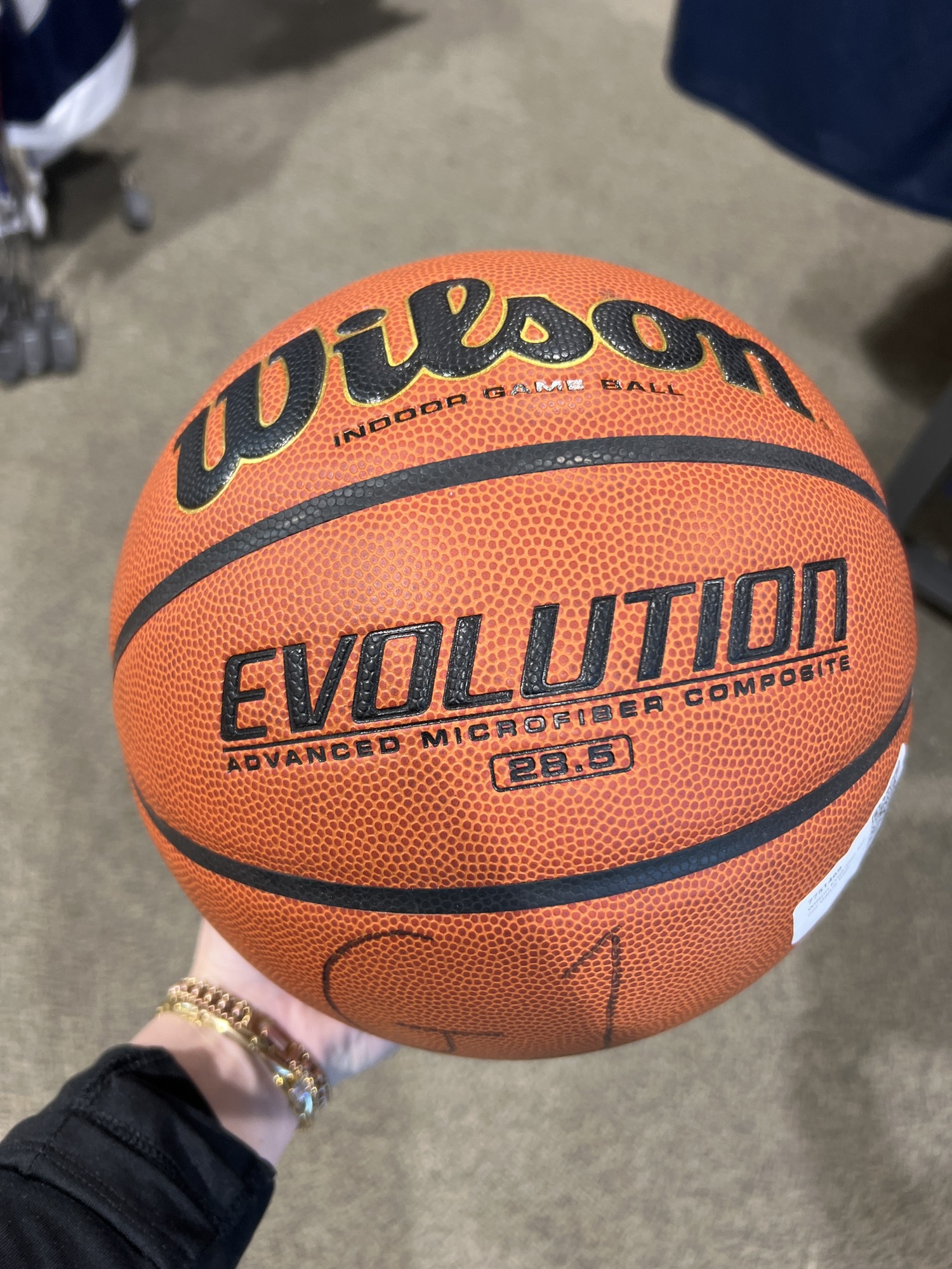 Wilson Evolution Indoor Game Ball | SidelineSwap