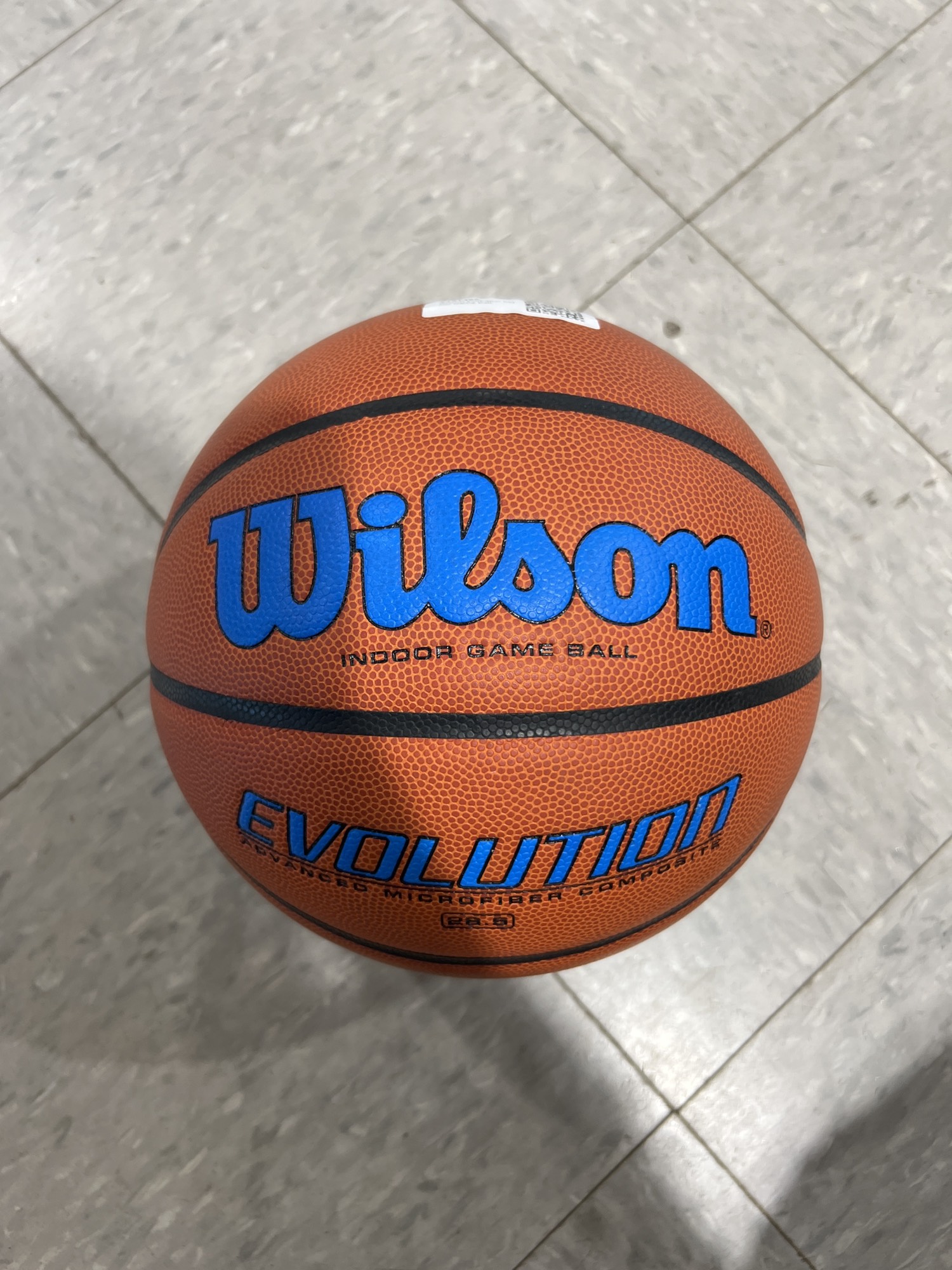 Wilson Evolution Indoor Game Ball | SidelineSwap
