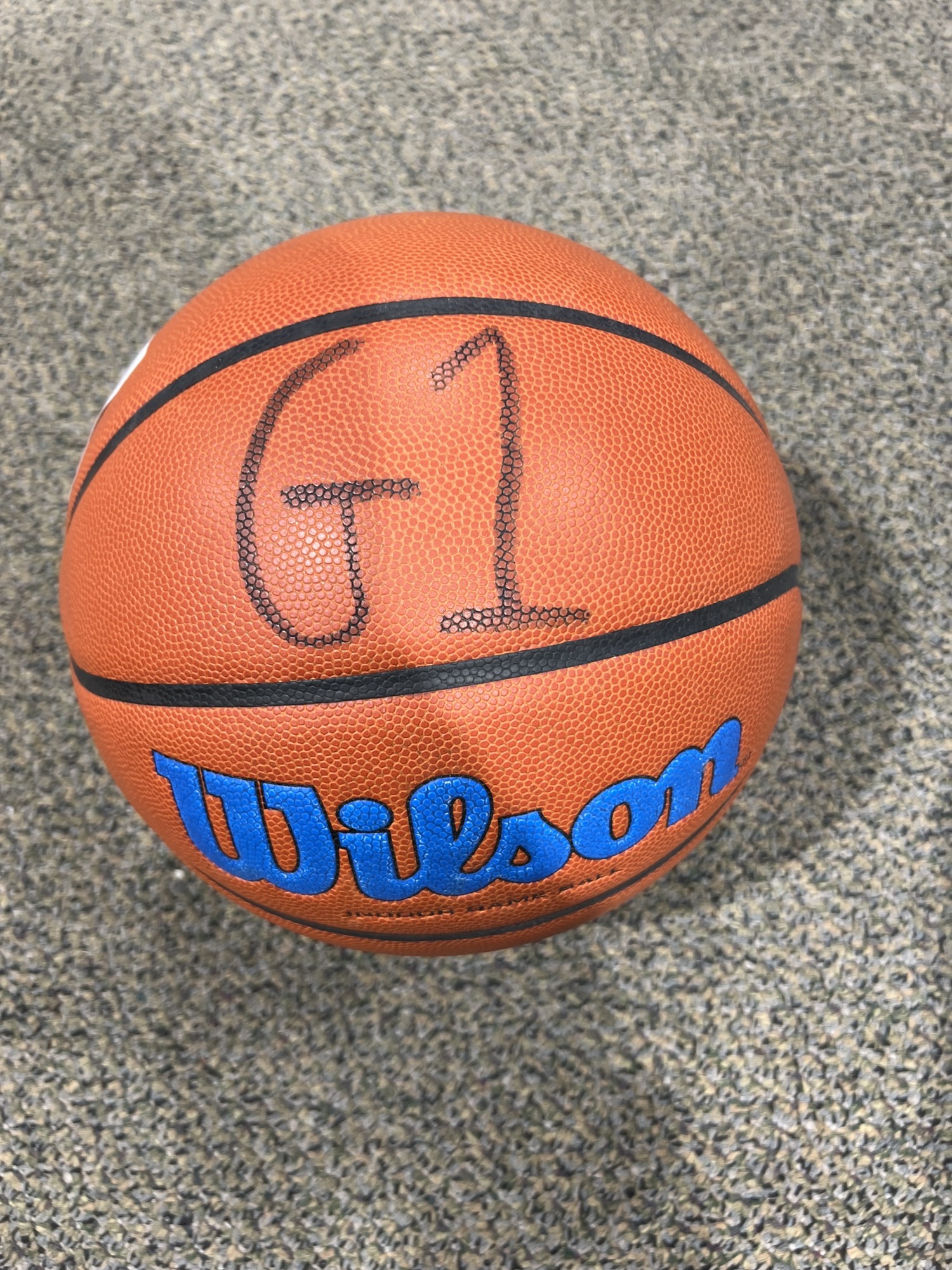 Wilson Evolution Indoor Game Ball | SidelineSwap