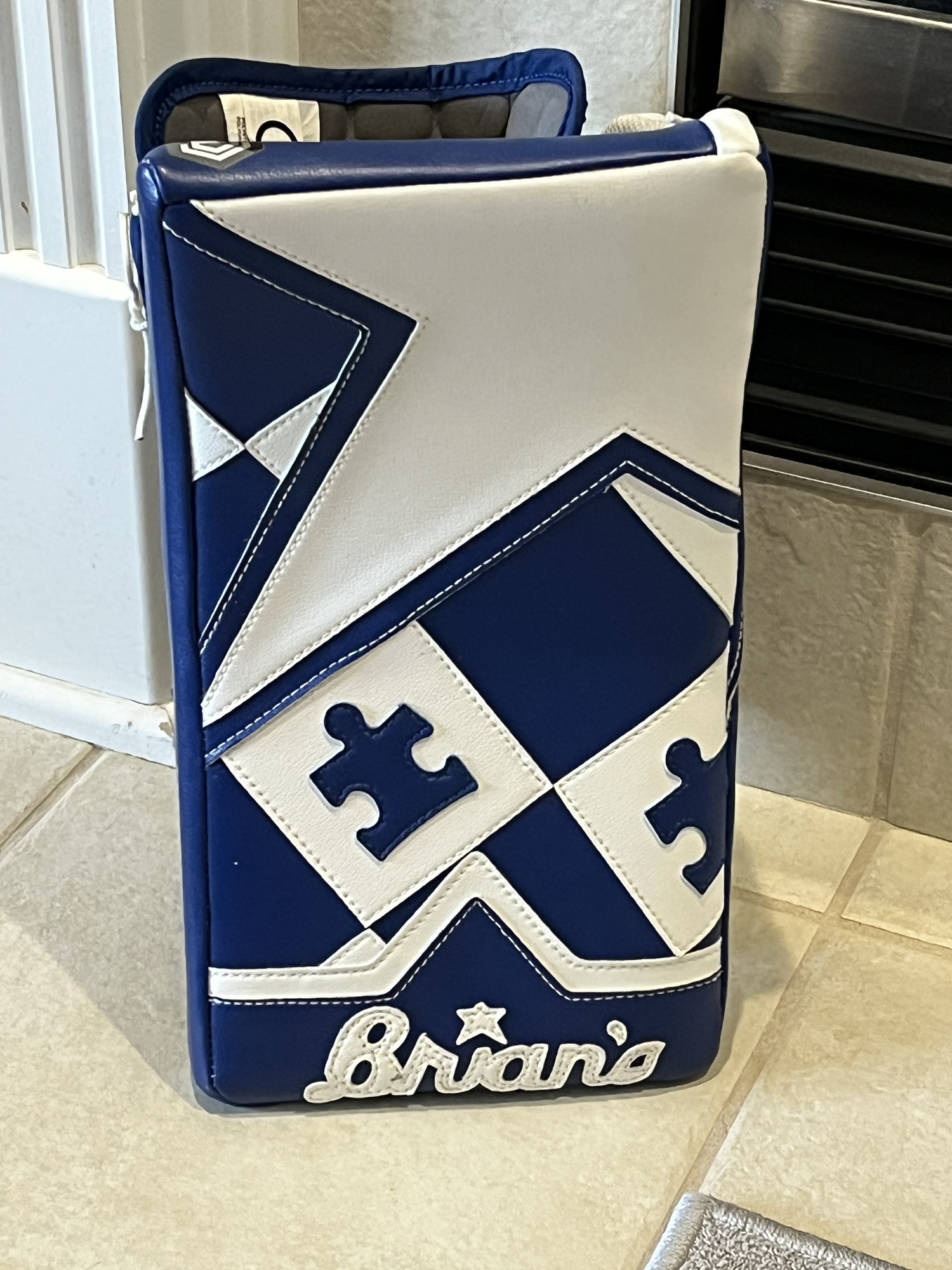 Brians Autsim Kidd Tribute Set Gnetik 2 Pads w Sub Zero 3 Catch Glove ...