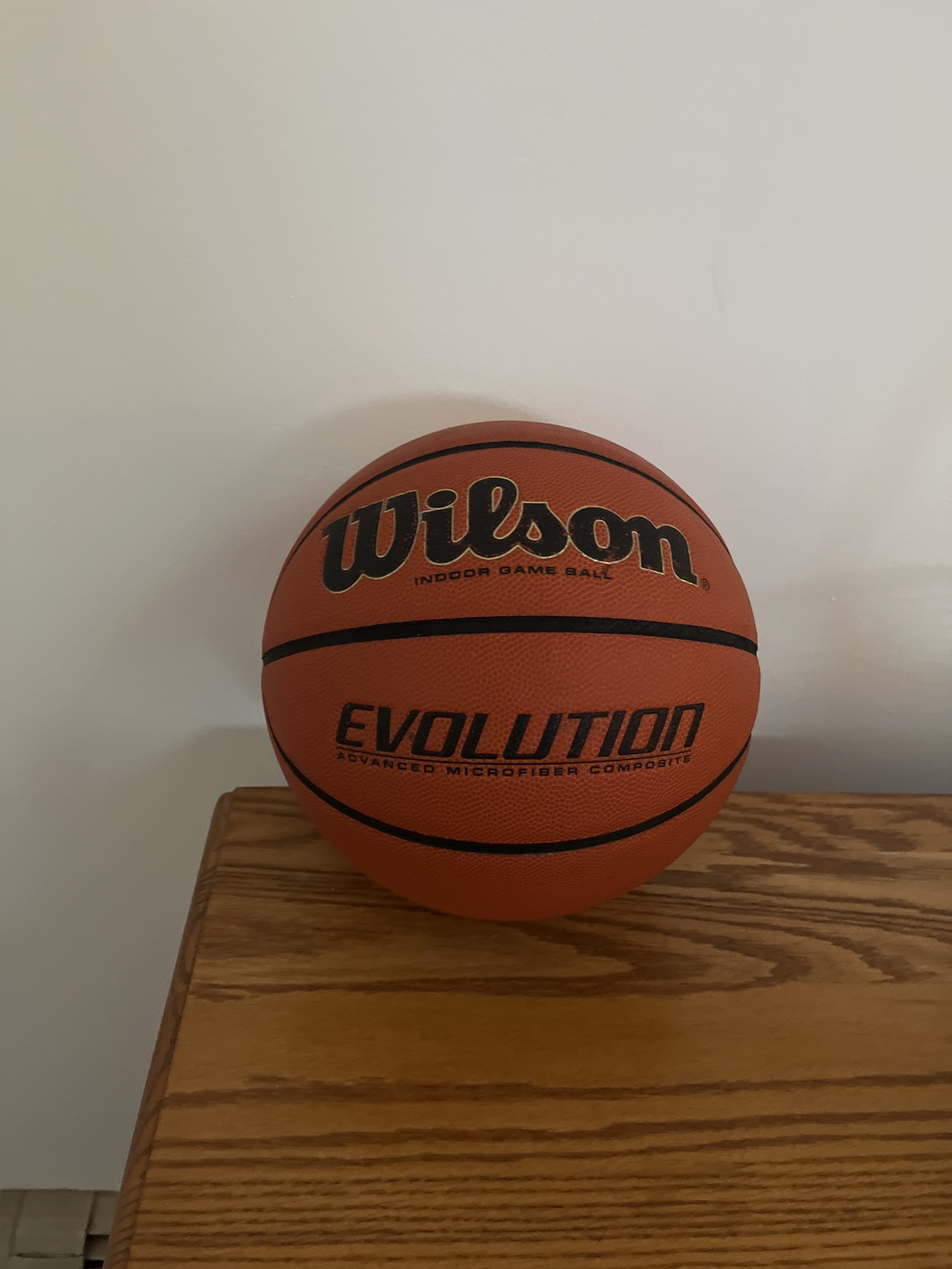 Wilson evolution basketball | SidelineSwap