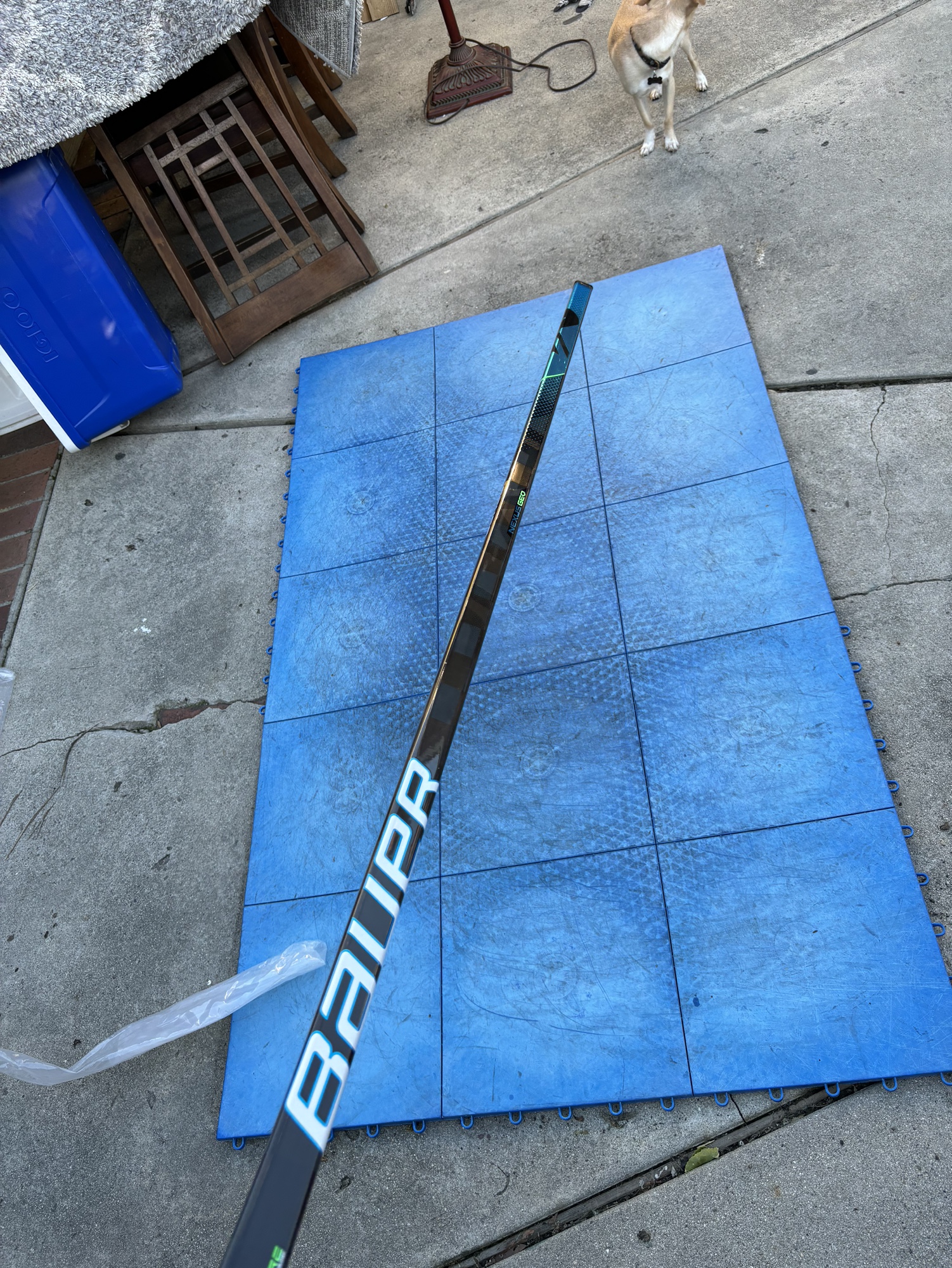 Bauer Nexus Geo Stick *Brand New 2 Pack | SidelineSwap