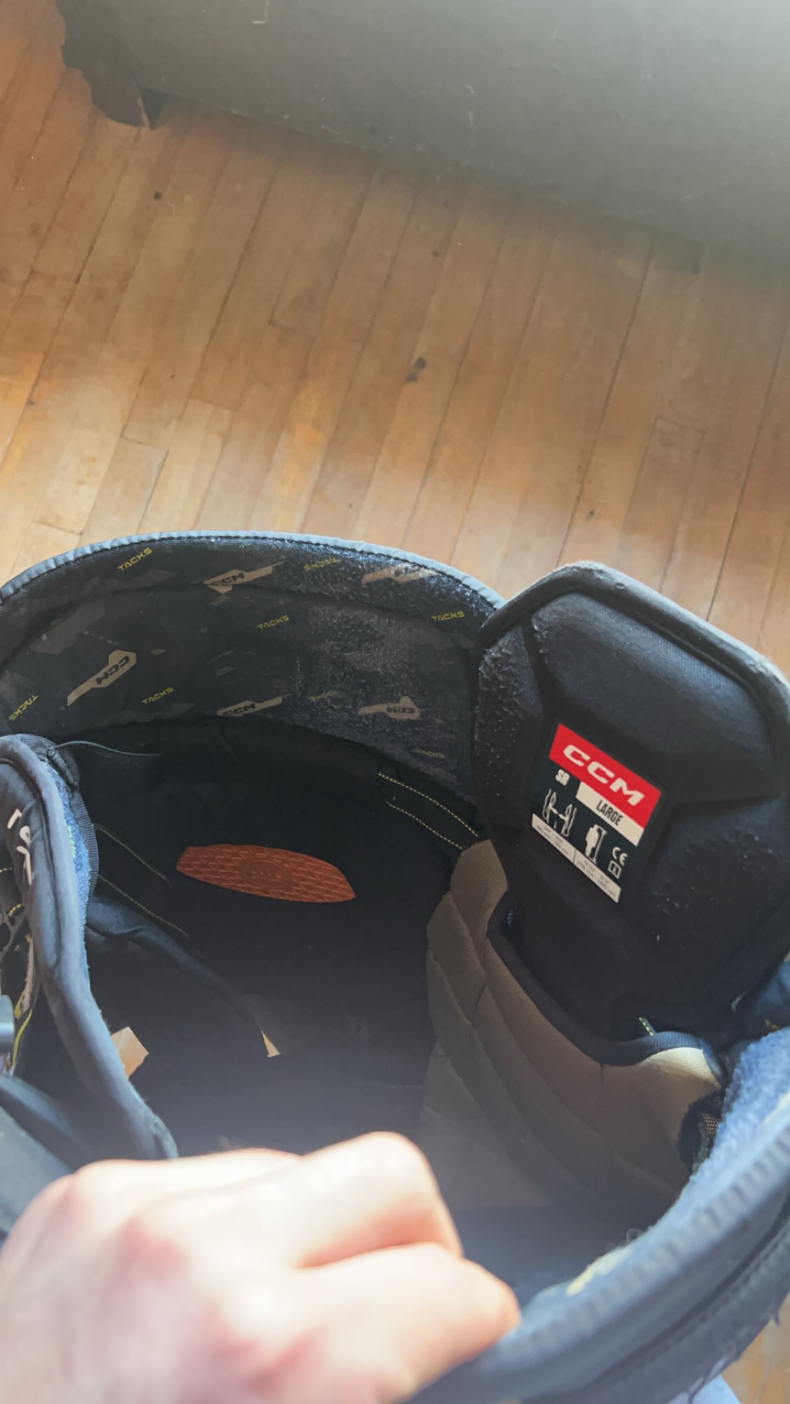 Ccm asv senior pants | SidelineSwap