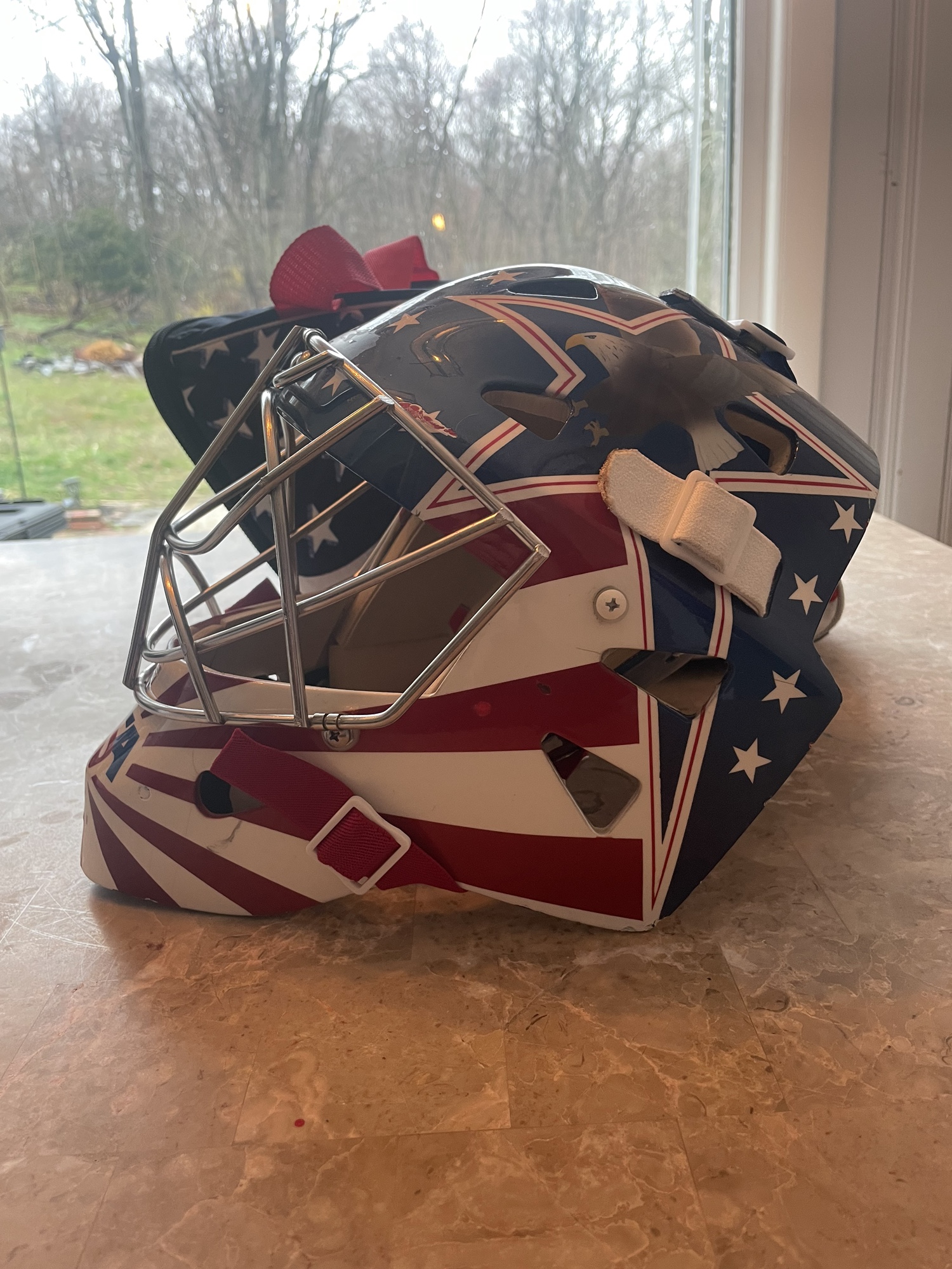 Custom USA Hockey Warwick Mask | SidelineSwap