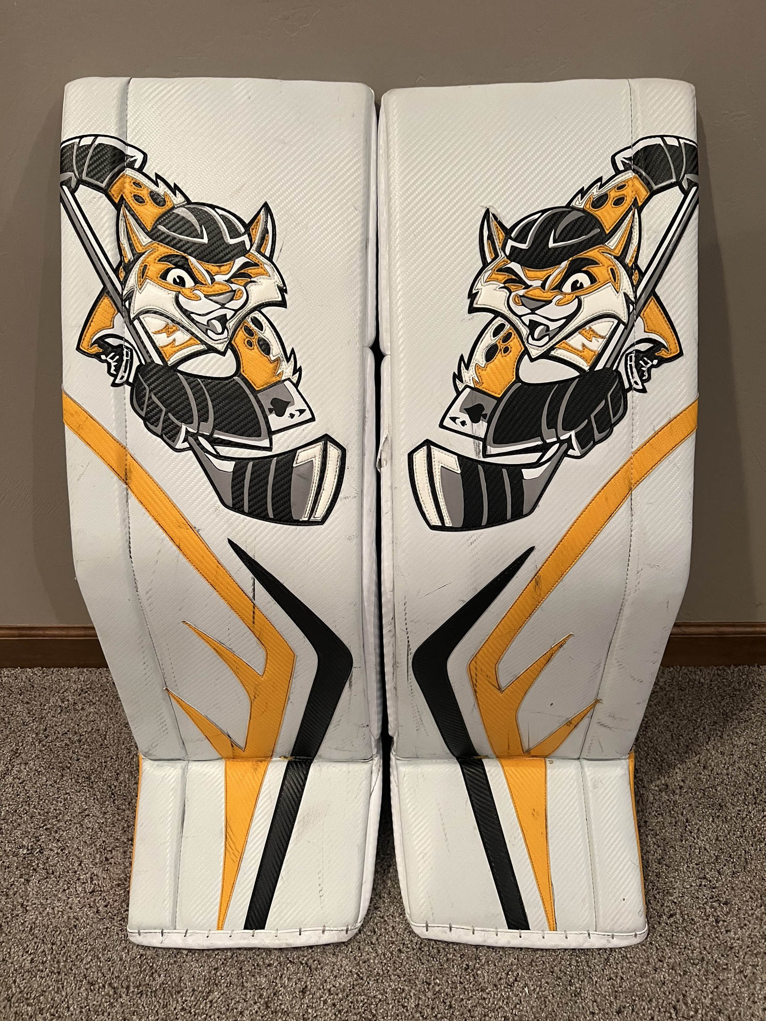 Brian’s goalie gear | SidelineSwap