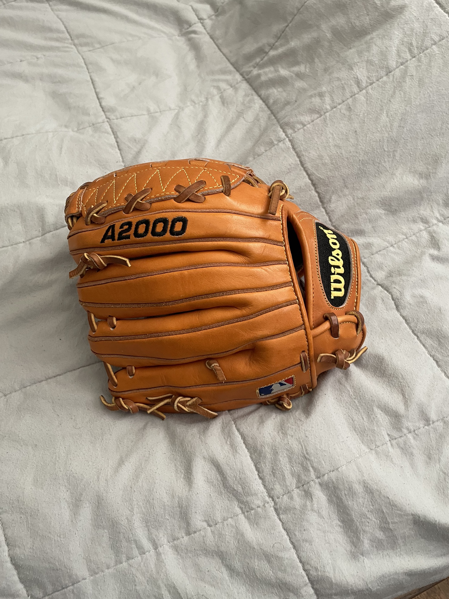 Pro Issue A2000 Baseball Glove | SidelineSwap