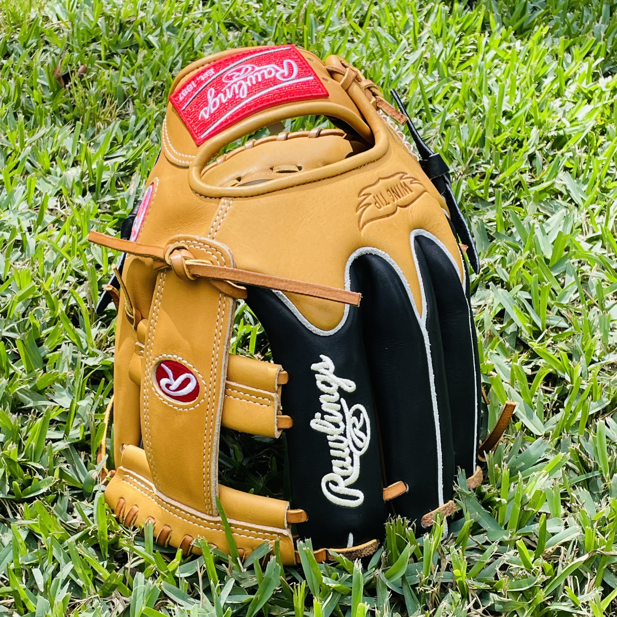 Rawlings HOH 11.75" Dealer Exclusive GGC Wingtip Baseball Glove ...