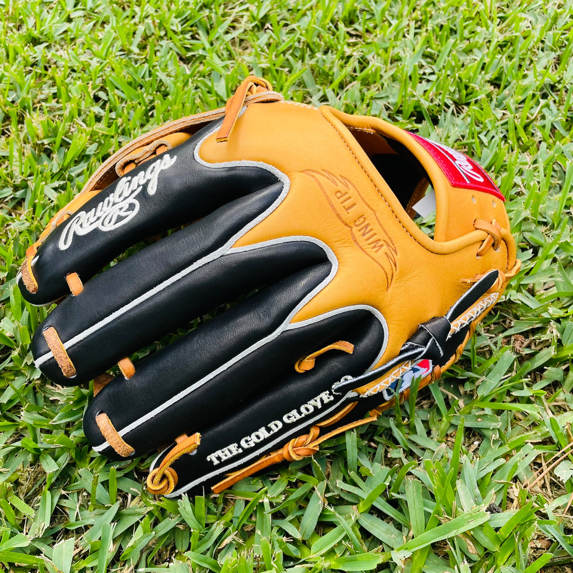 Rawlings HOH 11.75" Dealer Exclusive GGC Wingtip Baseball Glove ...