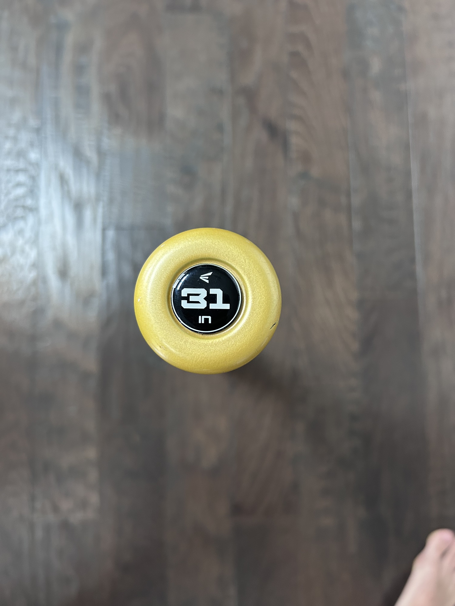 Easton Alpha 360 BBCOR 31/28 baseball bat | SidelineSwap