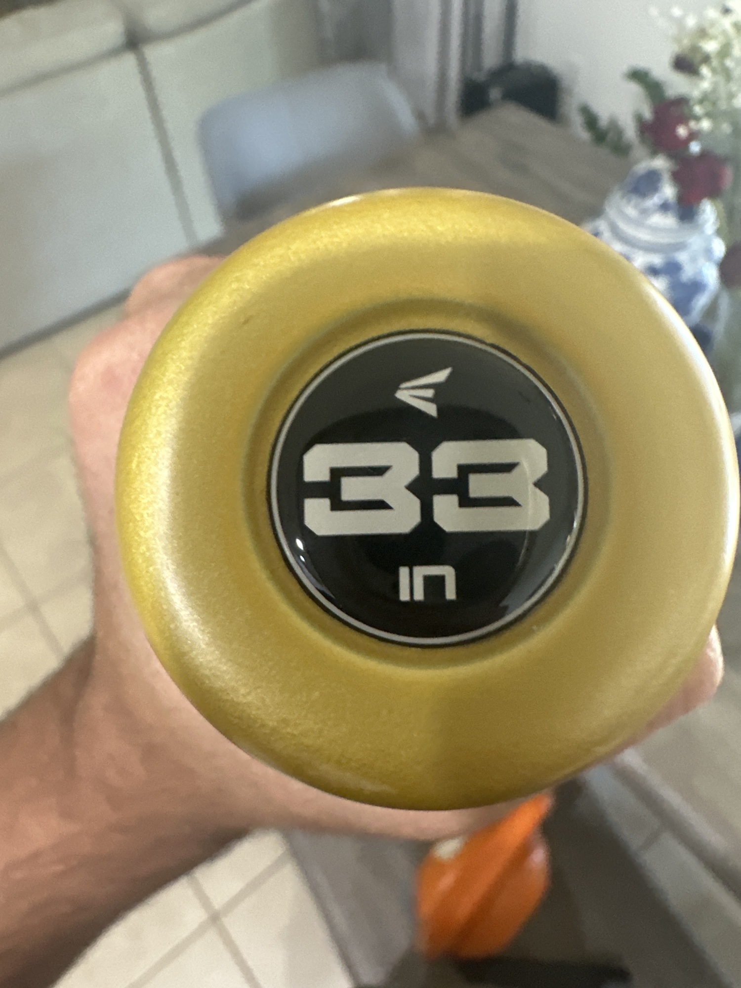 Easton Alpha 360 baseball bat 33in | SidelineSwap