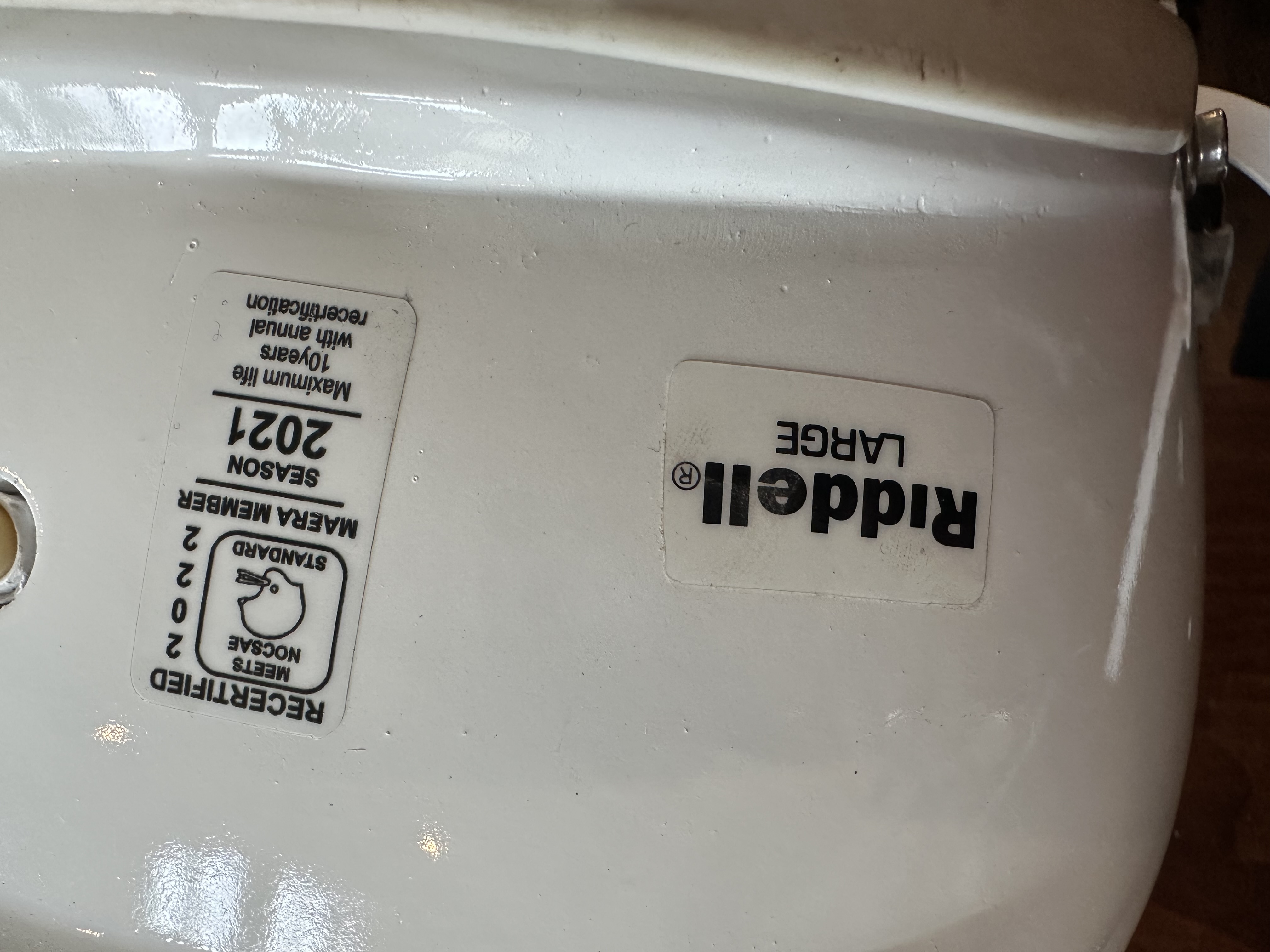 Riddell speed large adult 2022 | SidelineSwap