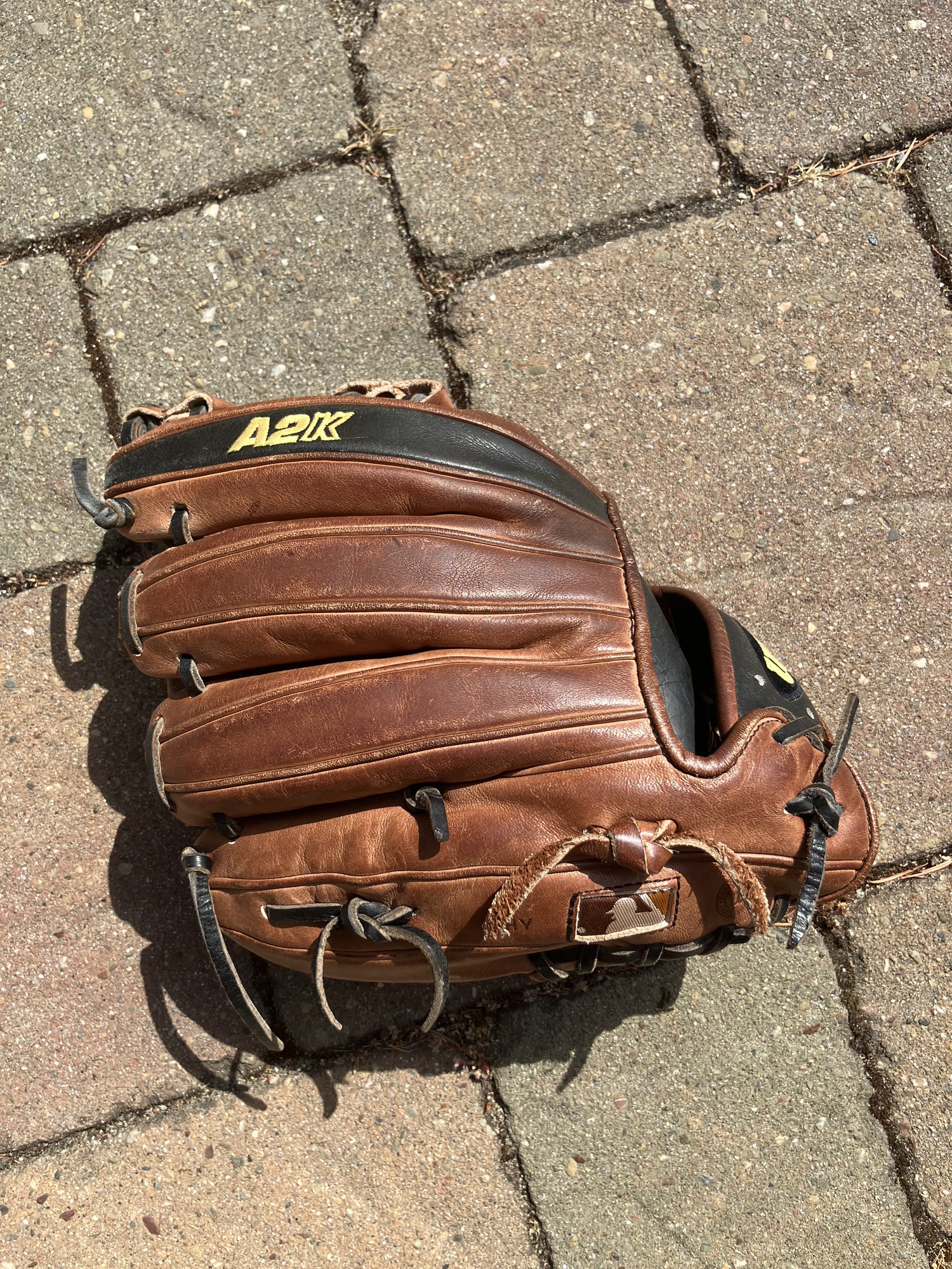 Custom Wilson A2K 11.5 | SidelineSwap