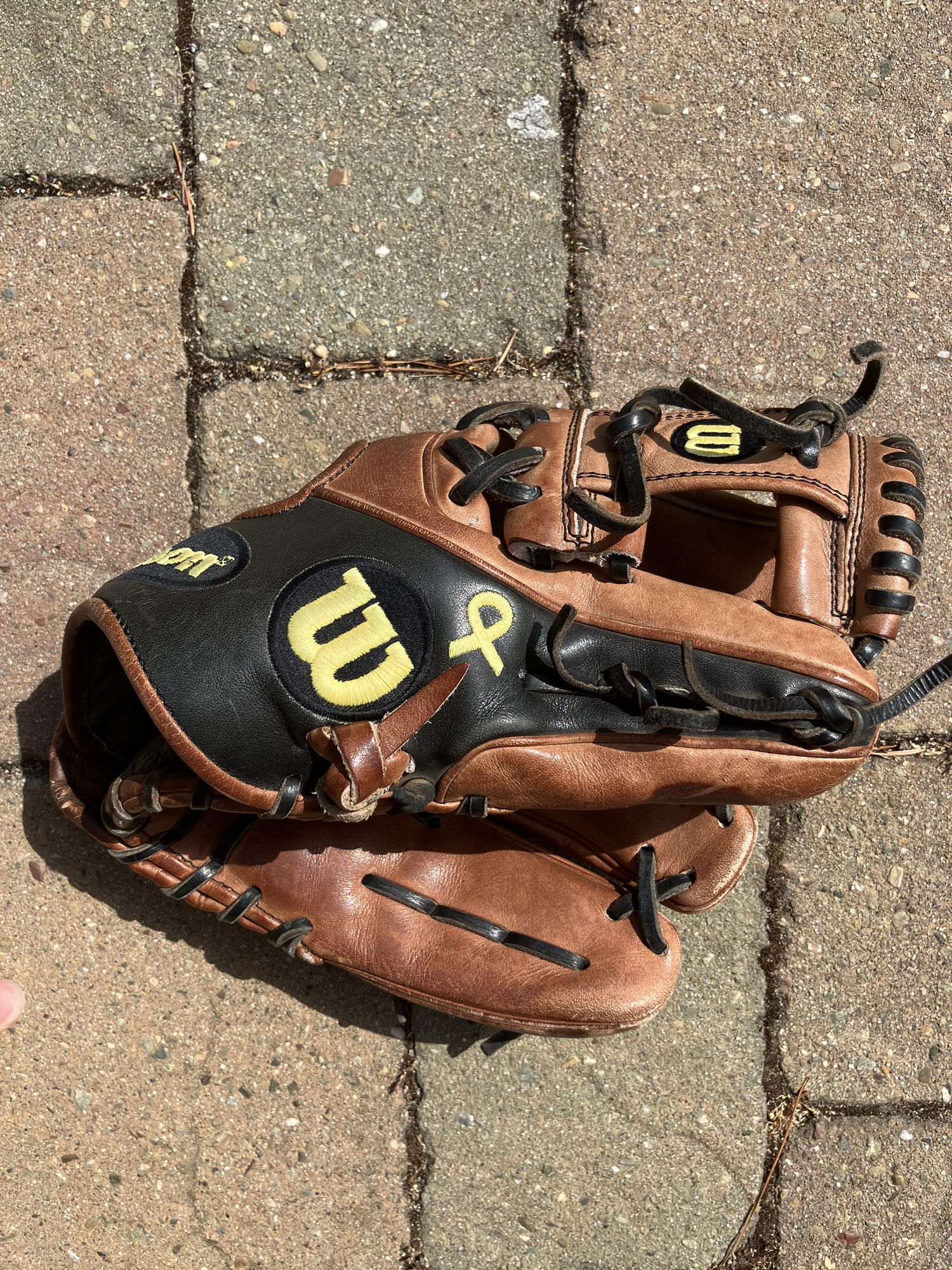 Custom Wilson A2K 11.5 | SidelineSwap