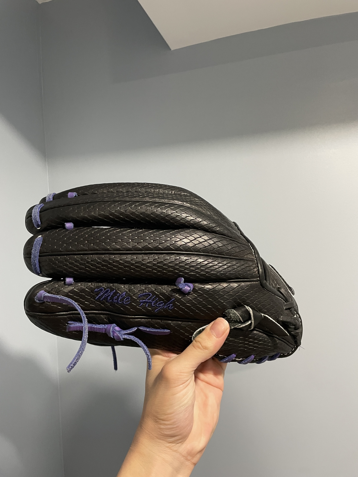 Used 2022 Snakeskin Outfield 12.5" Signature Series Baseball Glove ...