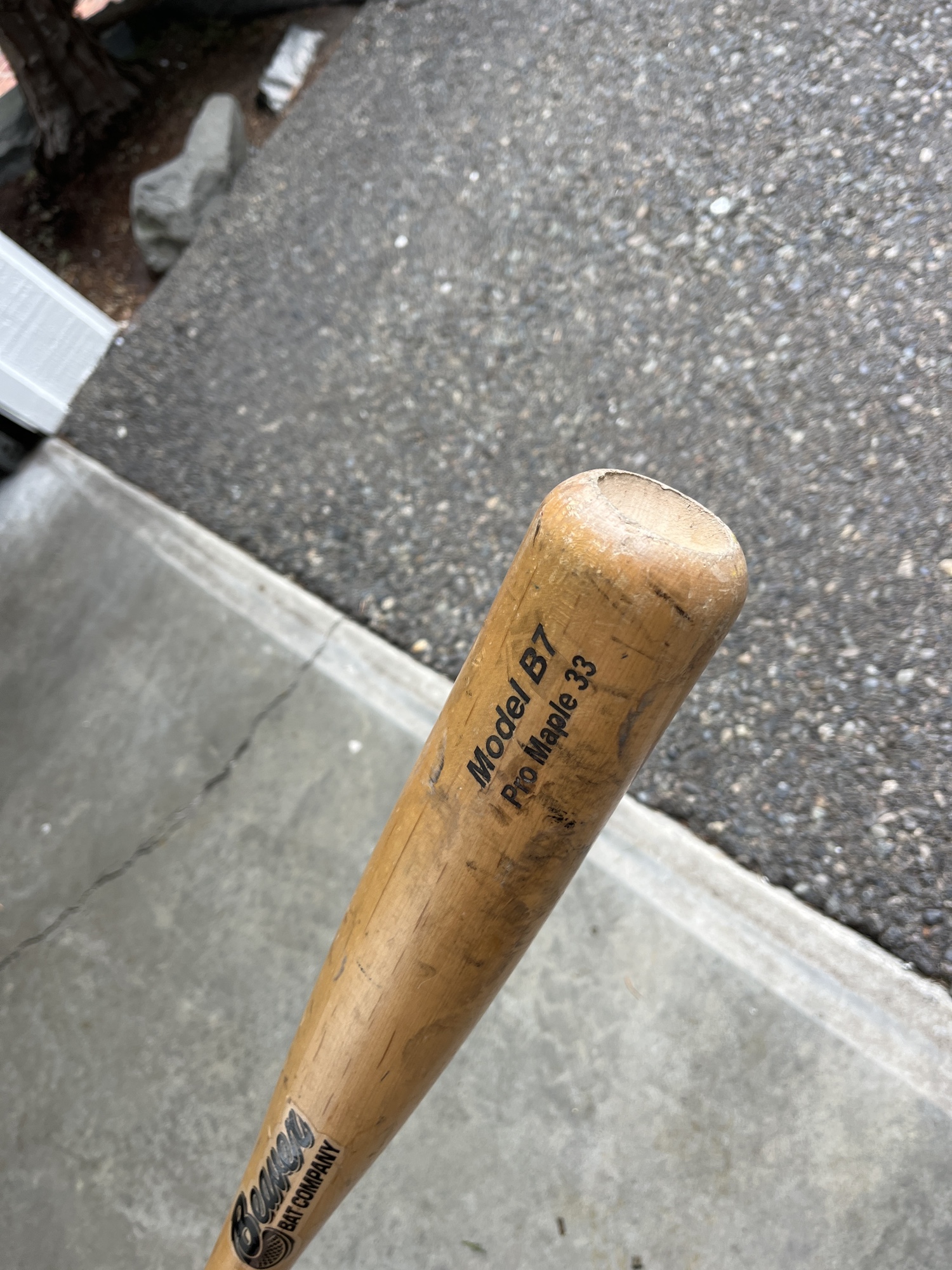 Beaver Bats 33 inch maple | SidelineSwap