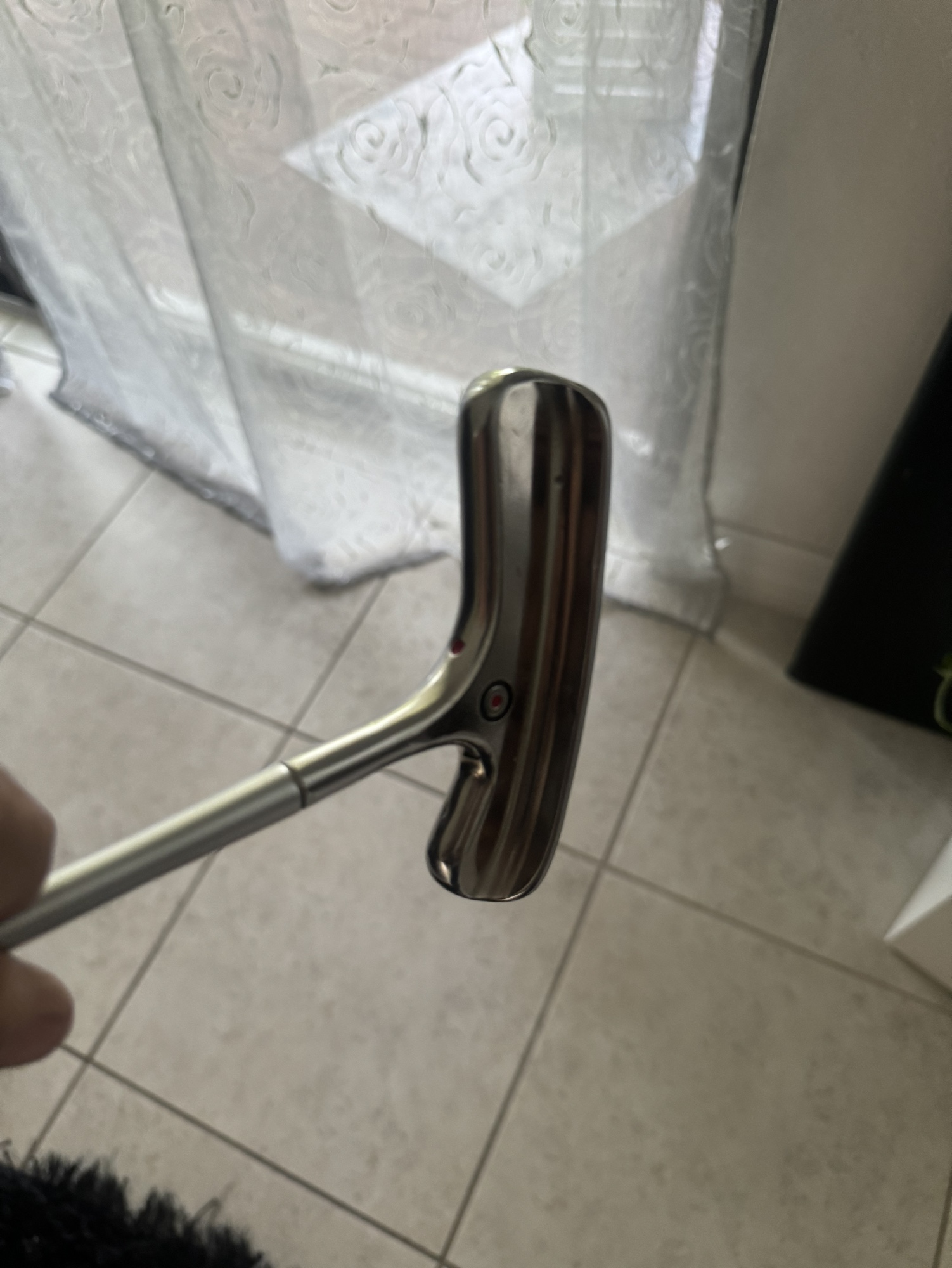 Titleist Scotty Cameron BULLSEYE FLANGE Putter 32 1/2 In With Scotty Cameron Head Cover ...