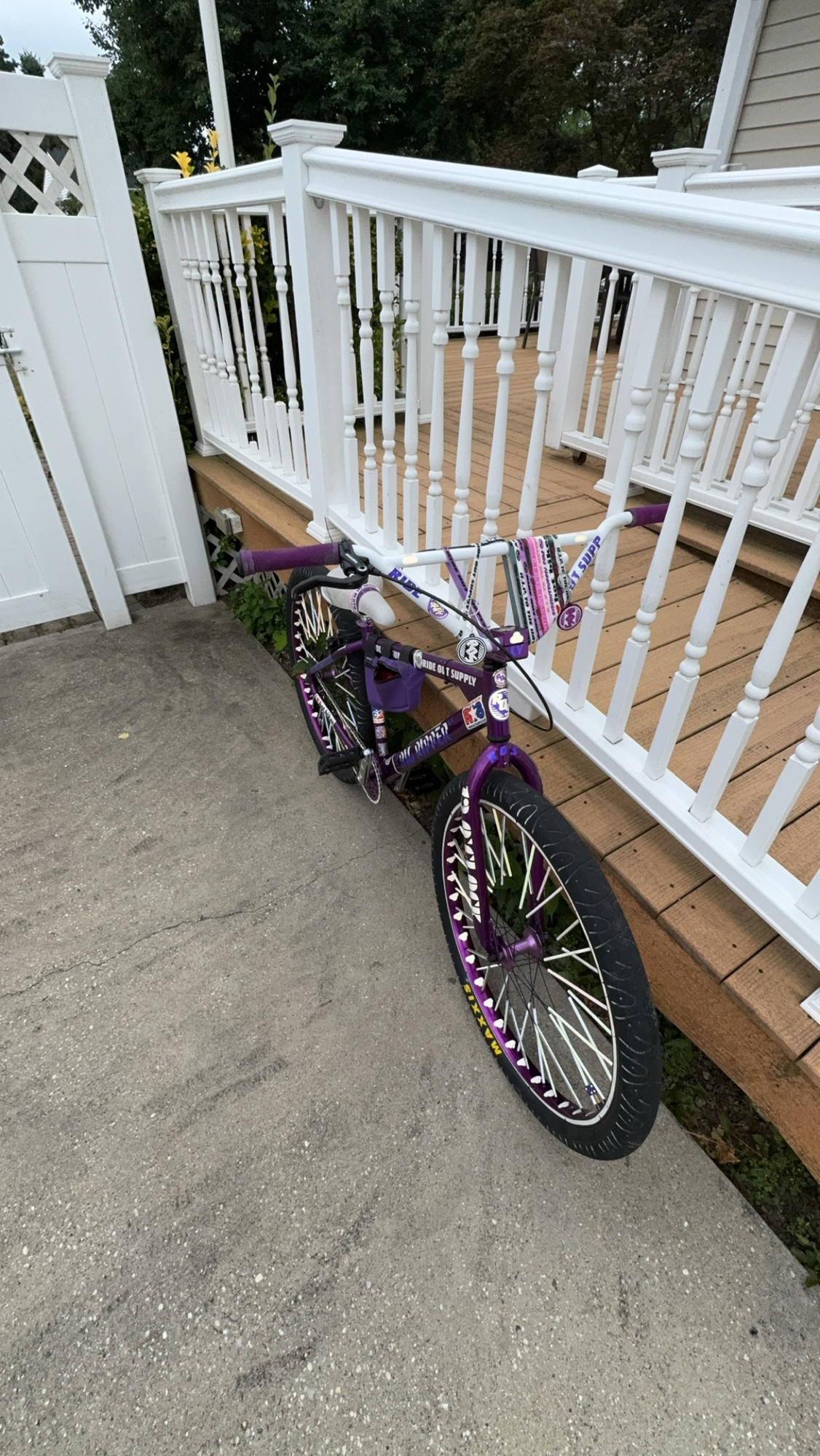 Used FULLY MODDED SE BIKE BIG RIPPER | SidelineSwap
