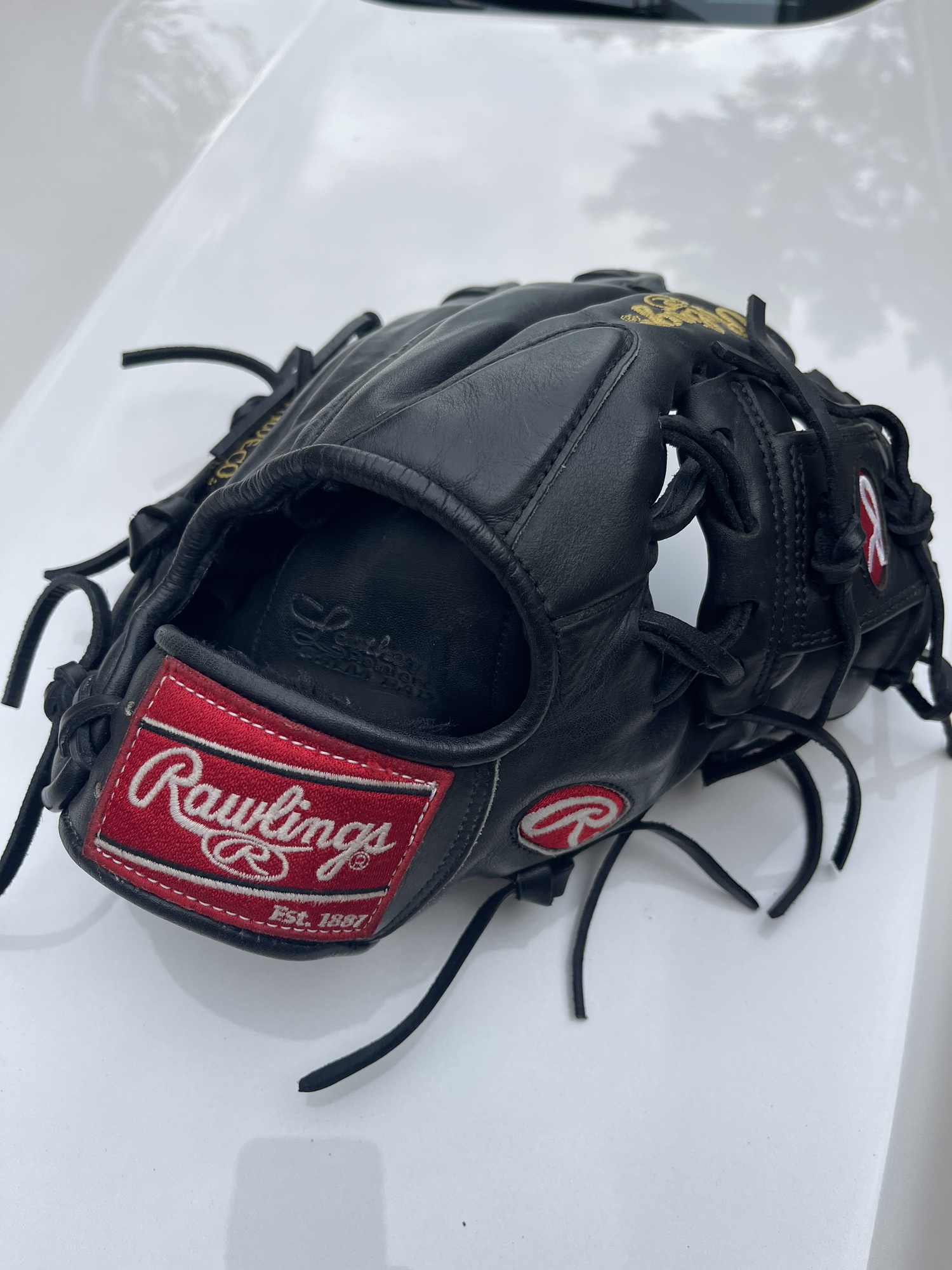 Rawlings gold glove | SidelineSwap