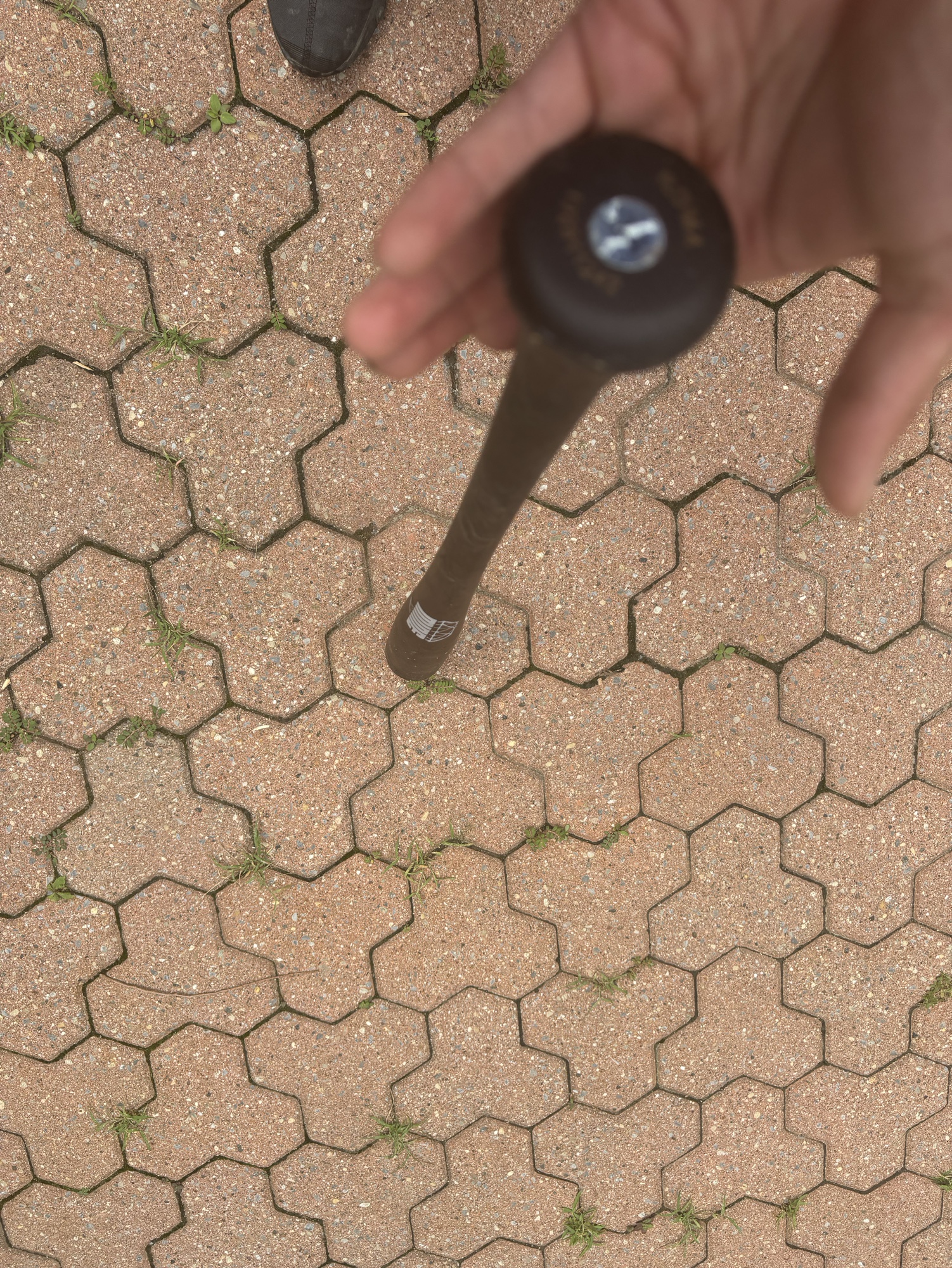 Minelli Mine Baseball bat beach wood made in Italy | SidelineSwap