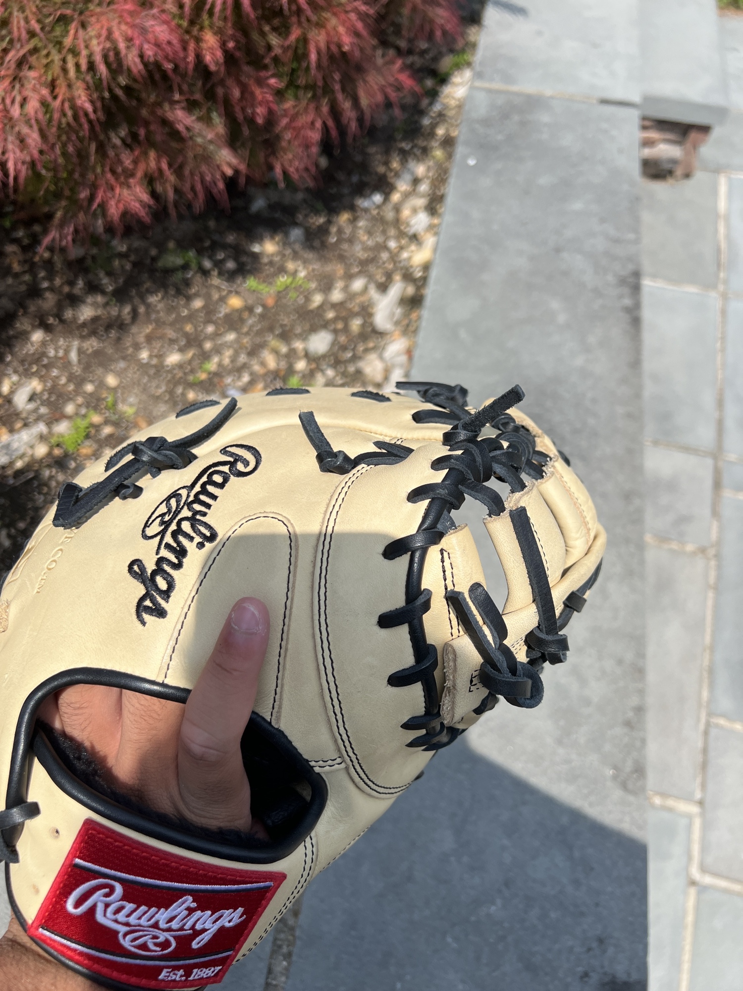 Gold Glove Elite First Baseman Glove | SidelineSwap
