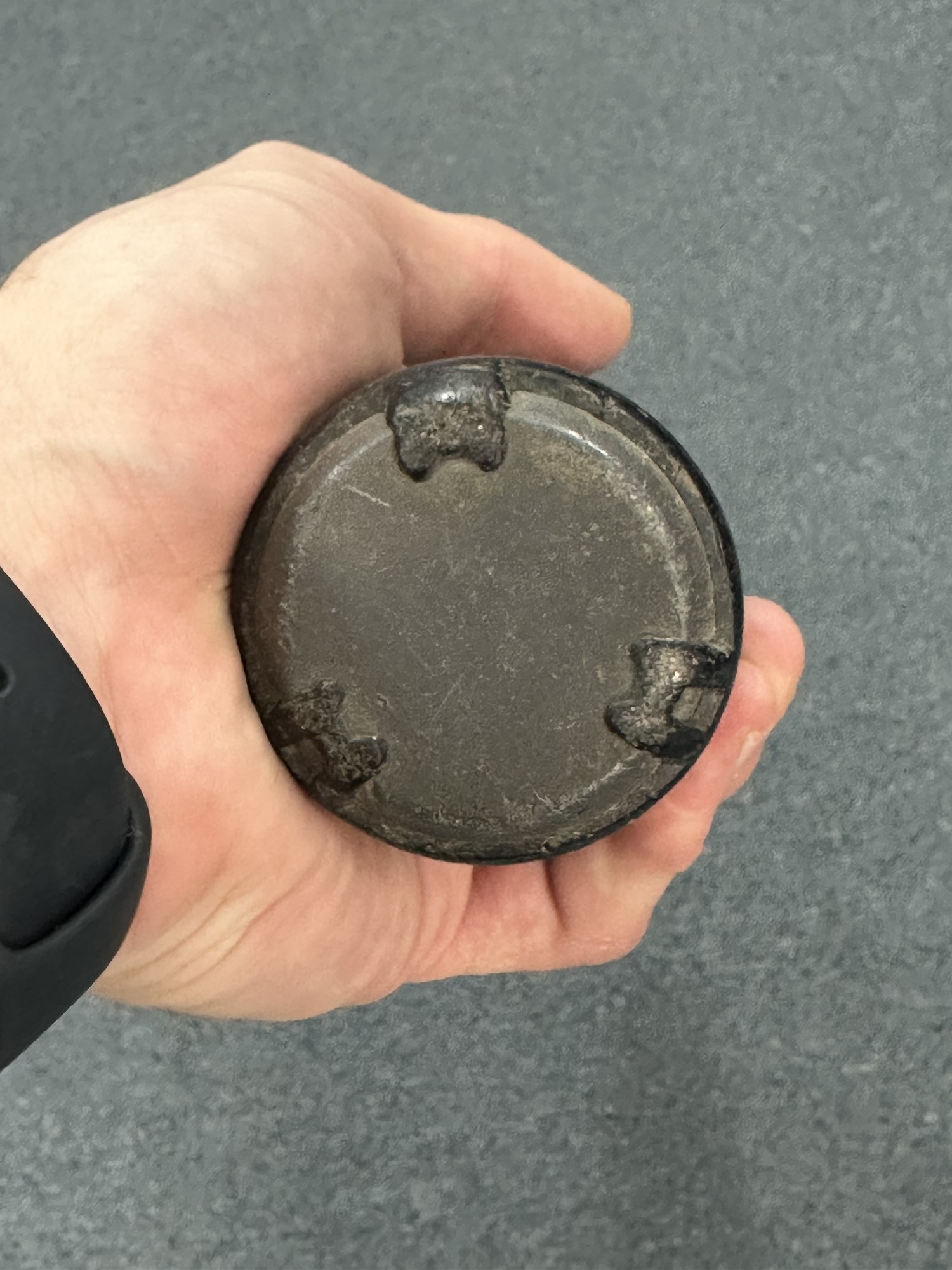 Black Used 2019 DeMarini CF INSANE Bat (-10) Composite 21 oz 31 ...